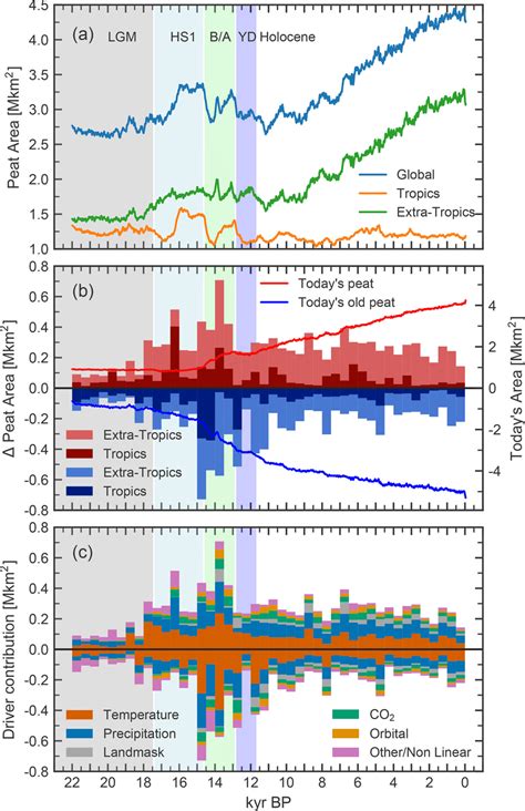 Simulated Peatland Area Over Time A Gross Positive And Negative Download Scientific Diagram