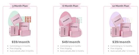 1분 스타트업 Bm 산모를 위한 산후회복 구독서비스 맘박스 뉴스레터로 만나는 스타트업 투자 리포트 ‘스타트업레시피