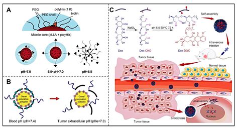 Tumor Microenvironment Based Stimuli Responsive Nanoparticles For Controlled Release Of Drugs In
