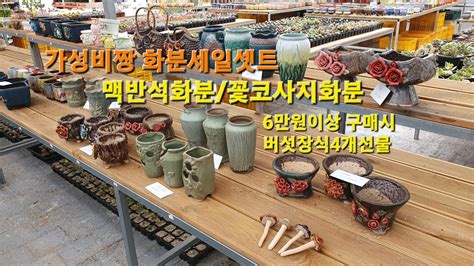 가성비짱 세일화분셋트💥맥반서화분꽃코사지화분롱분💥6만이상 버섯장식4개선물💕 다육이화분 꽃코사지화분 맥반석화분 Youtube