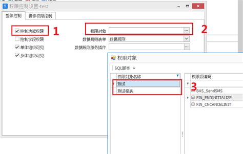 金蝶云星空 自定义sql报表如何设置访问控制权限
