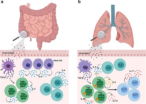 Pathogenic Treg Cell Reprogramming Two Illustrative Examples Of