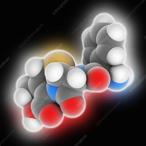 Cephalexin Drug Molecule Stock Image C025 3659 Science Photo Library