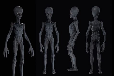 Alien Humanoid 3d Humanoids Unity Asset Store