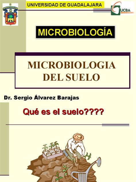 Microbiologia Del Suelo Pdf Suelo Roca Geología