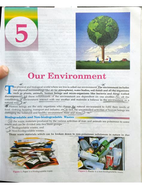 Our Environment Notes Pdf