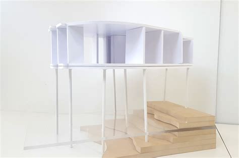 Project Final Model Cg