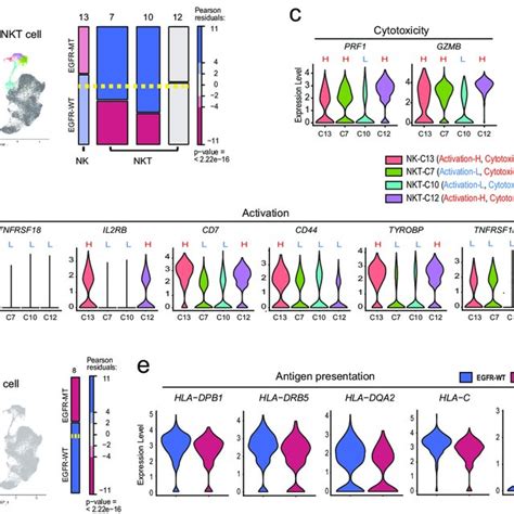 Characterization Of Subsets For Nk Nkt And B Cells Based On Marker Download Scientific
