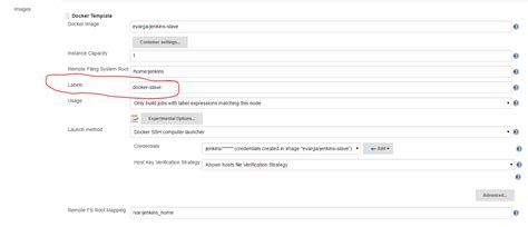 Jenkins Docker Plugin Does Not Seem To Be Provisioning Slave Containers