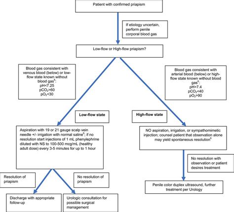 figure 1 suggested treatment algorithm for low flow or high flow priapism scientific diagram
