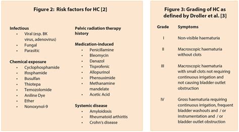 An Algorithm For The Management Of Haemorrhagic Cystitis Urology News