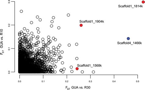 Fst Values Between The Unselected Control Line Gua And Each Selected Download Scientific