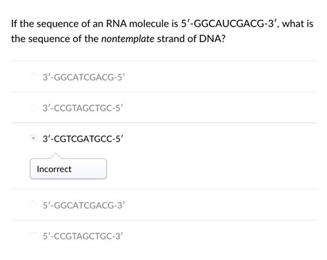 If The Following DNA Strand Were Used As A Template Chegg Com