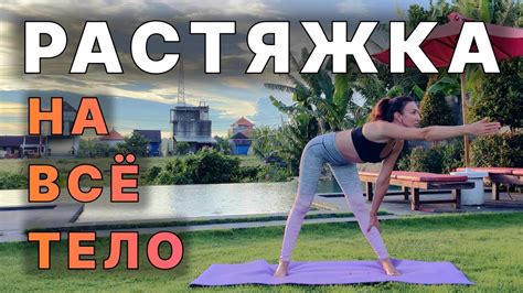 РАСТЯЖКА НА ВСЕ ТЕЛО ЗА 7 МИНУТ МЯГКАЯ РАСТЯЖКА ДЛЯ НАЧИНАЮЩИХ ЕЖЕДНЕВНАЯ РАЗМИНКА Youtube