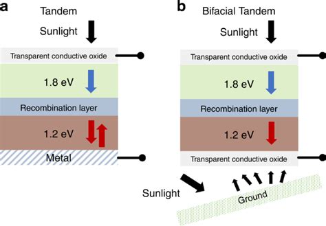 全钙钛矿串联双面 Light Science And Applications X Mol