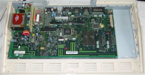 Chriss Acorns Acorn A3010