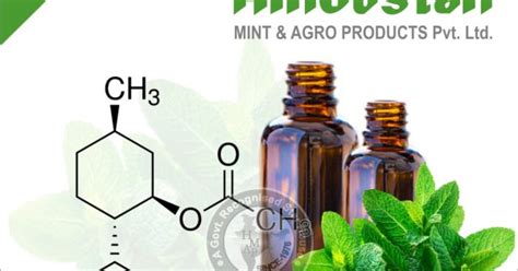 Natural Menthyl Acetate Manufacturer Exporter India Usa Cas 89 48 5