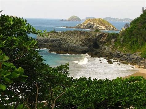 Ecosistemas 13 Ideas De Ecosistemas De Mexico Para Guardar Hoy