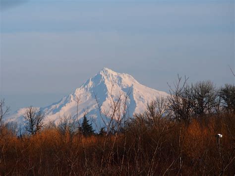The Art Of Misdirection In Close Up Magic Robert J Wallace