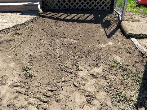 Regrading A Yard Adding Grass Sod Rejuvinate Refresh Back Yards Lawn Ughly To Beautiful Fresh
