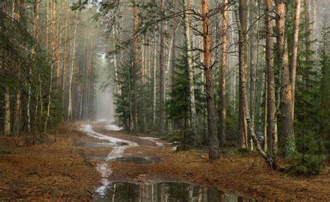 Landscape photos, Scenery, Landscape