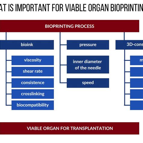 Commonly Used 3d Bioprinting Methods Download Scientific Diagram