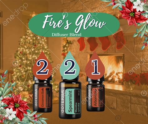 Fires Glow Diffuser Blend By Christy St Clair