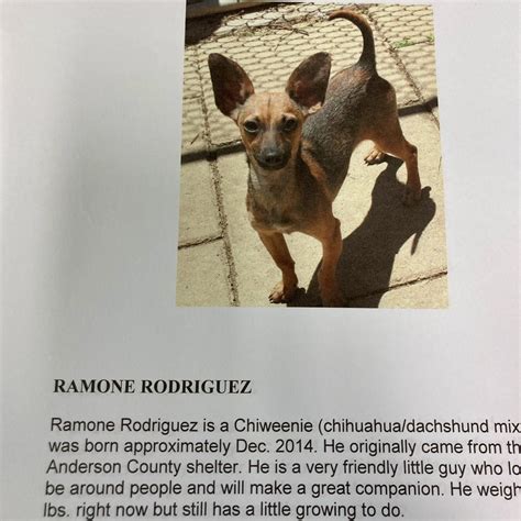 Ramone Rodriguez Life House For Animals