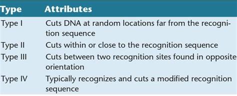 Hanaa Fayed Auf Linkedin Types Of Restriction Endonucleases ‼ The Type