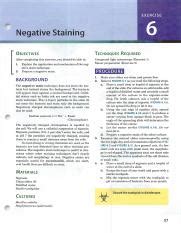 Exercise 6 Negative Stain Pdf Course Hero