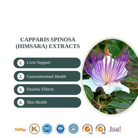 Himsara Dry Extract Packaging Type Packet Packaging Size 1 Kg 5 Kg At ₹ 800 Kg In Ahmedabad