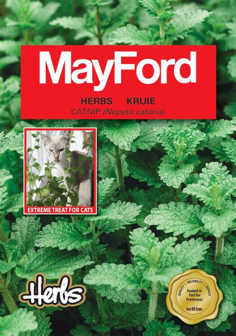 Catnip Mayford
