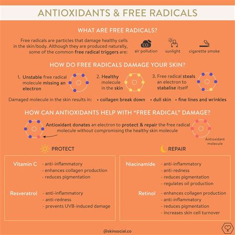 Discover The Power Of Antioxidants For Youthful Skin