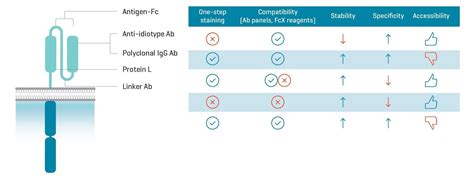 Car T Staining Reagents Immudex