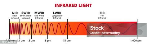 Vector Illustration Of Infrared Light Ir Regions Within The Infrared