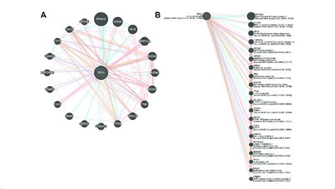 A Tumor Protein 53 Tp53 Network Analysis And B Members Of The Download Scientific
