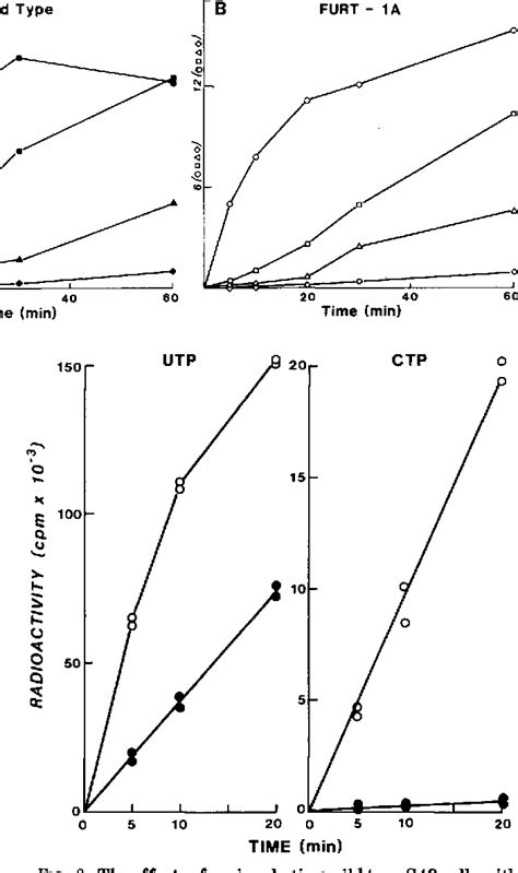 Figure 2 From In Situ Regulation Of Mammalian Ctp Synthetase By