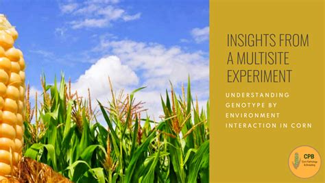 Understanding Genotype By Environment Interaction In Corn Insights From A Multisite Experiment