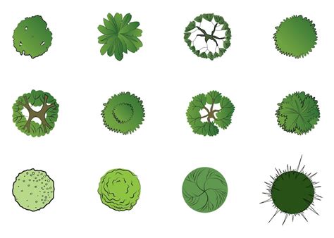 Premium Vector Various Green Trees Bushes And Shrubs Top View For