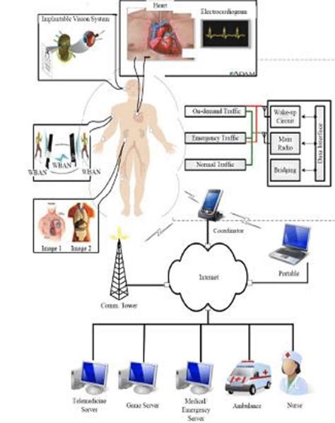 Architecture Of Wireless Body Area Network Download Scientific Diagram