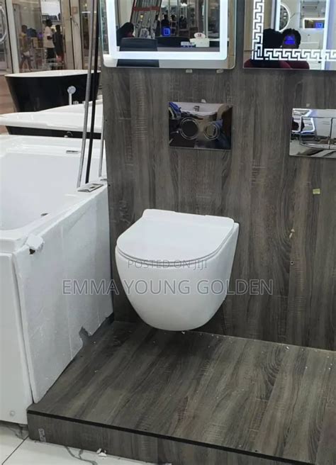 Concealed Wc Curve In Dei Dei Plumbing And Water Systems Ali Emmanuel Okechukwu Jiji Ng