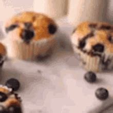 Muffins S Tenor