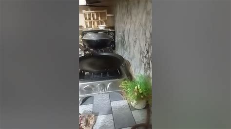 Saas Bahu Ka Kitchen Is Live Youtube