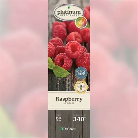 Degroot Raspberry Heritage Red Degroot Raspberry Heritage Red