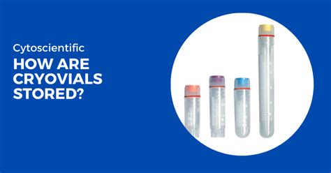 How Are Cryovials Stored