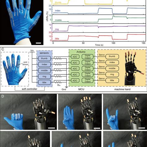 Application Demonstration Of The Strain Sensing Glove In Gesture Download Scientific Diagram