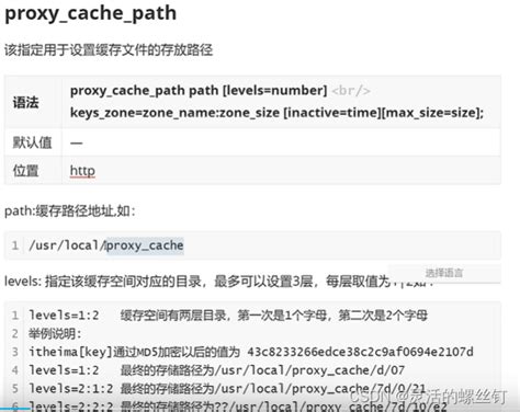 Nginx缓存配置与管理指令详解 Csdn博客