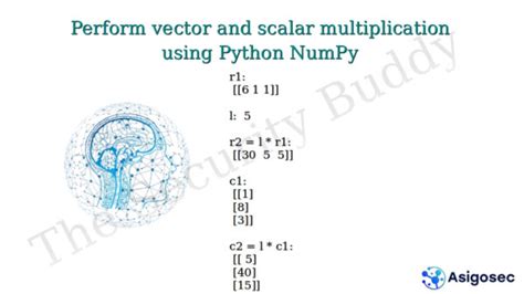 Perform Vector And Scalar Multiplication Using Python Numpy The