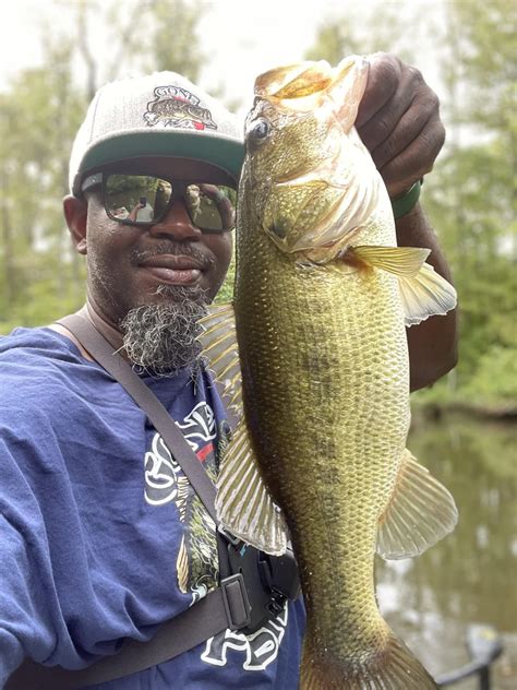 Cranking Bait Got The Job Done Scrolller