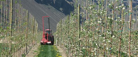 Organic Bactericides Treating Tree Diseases